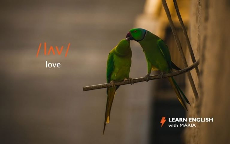 How to love your English course - English learning tips